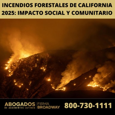Incendios Forestales de California 2025: Impacto Social y Comunitario ...
